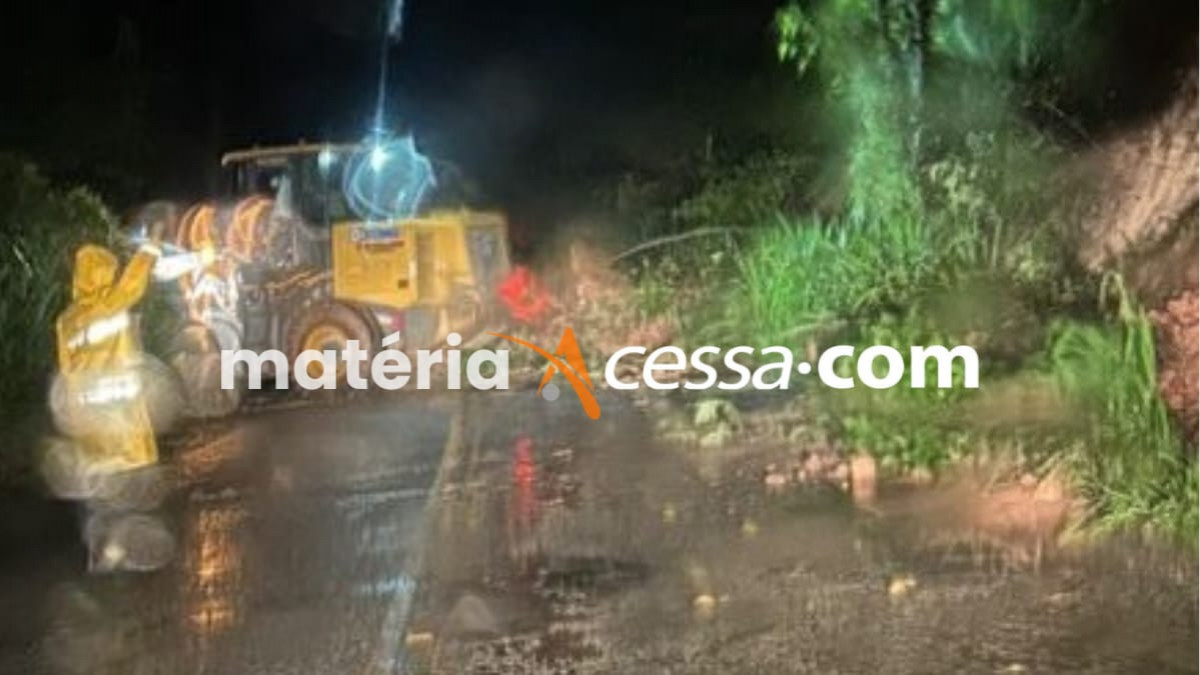 Quedas de árvores e movimentação de terra causam obstruções na MG-132 ...